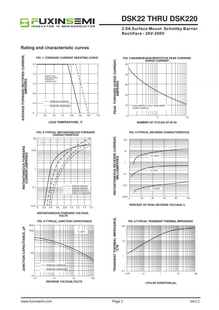 DSK210 datasheet page 2