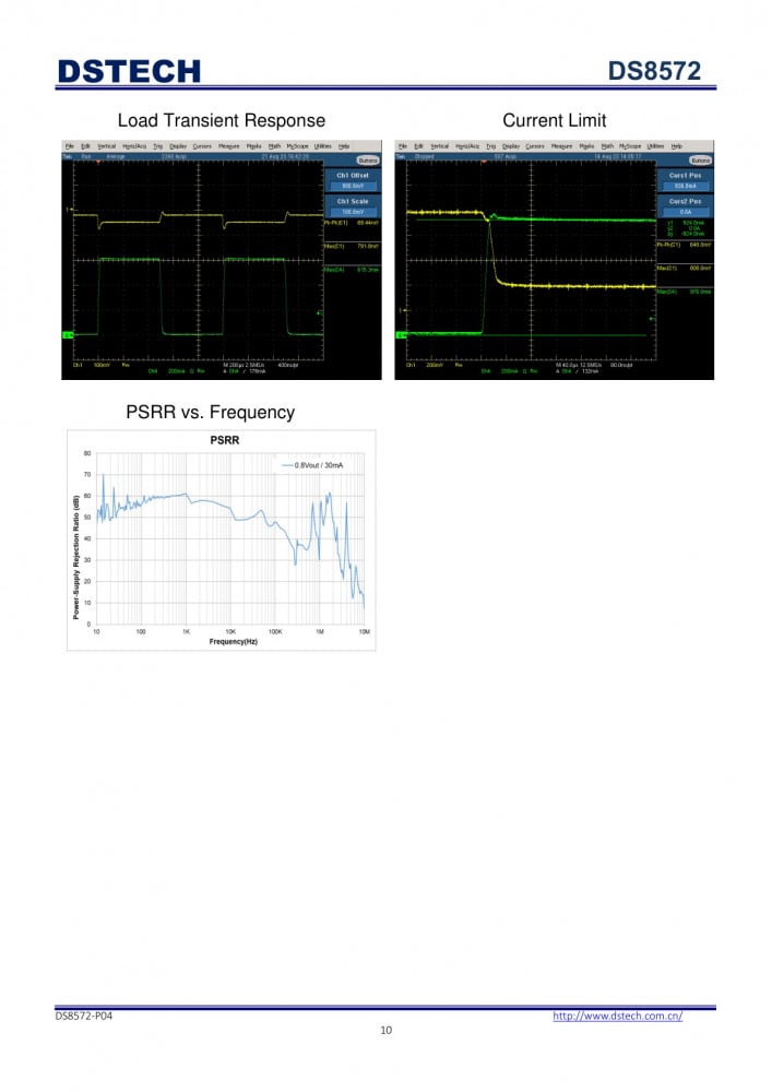 DS8572 datasheet page 10