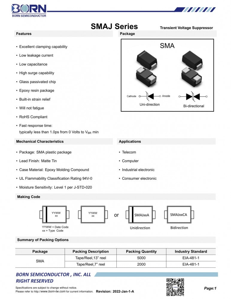 BORN SMAJ series datasheet page 1