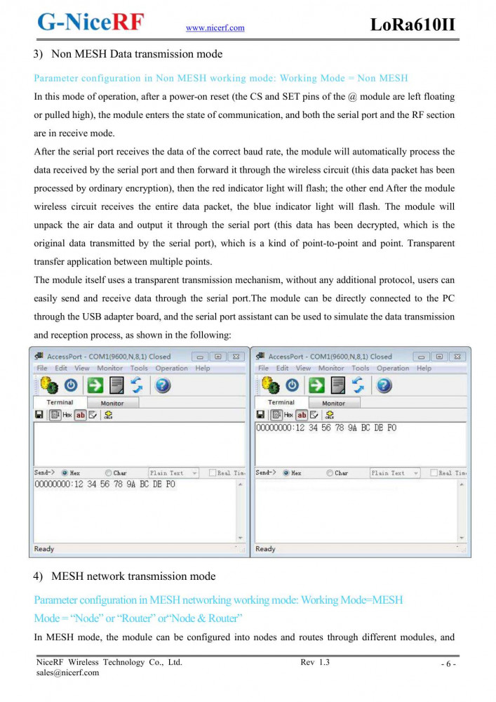 LORA610II-915MHz datasheet page 6