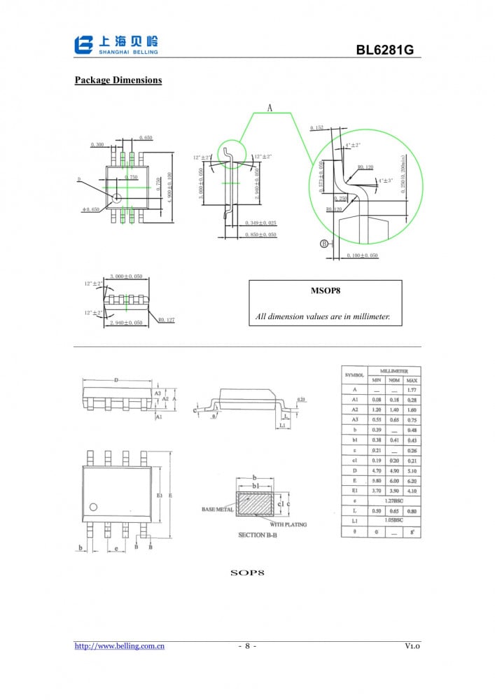 BL6281G datasheet page 8