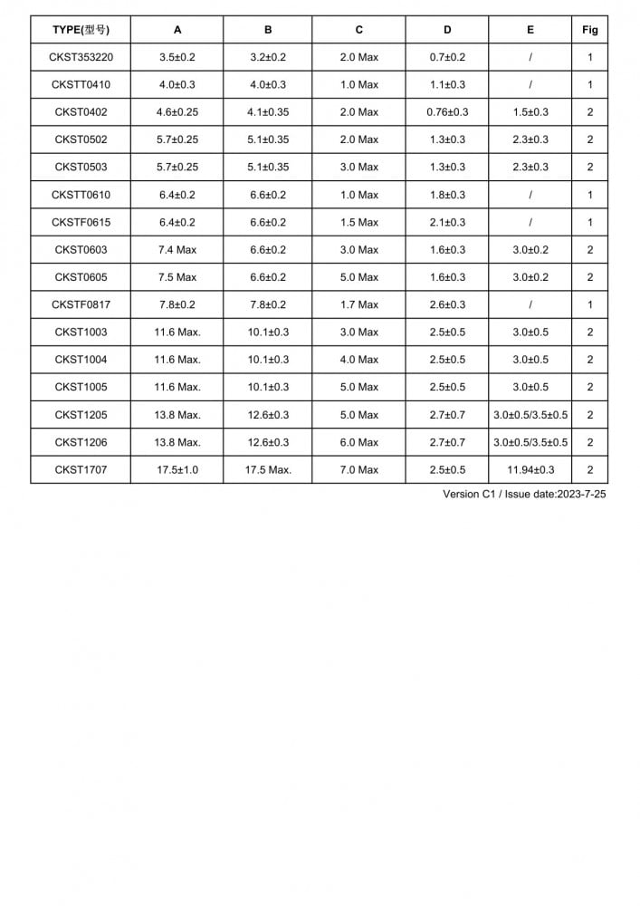CENKER CKST series datasheet page 2