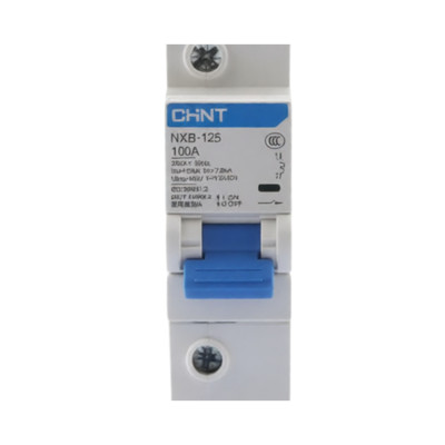 CHINT NXB-125 2P D125 Miniature Circuit Breaker
