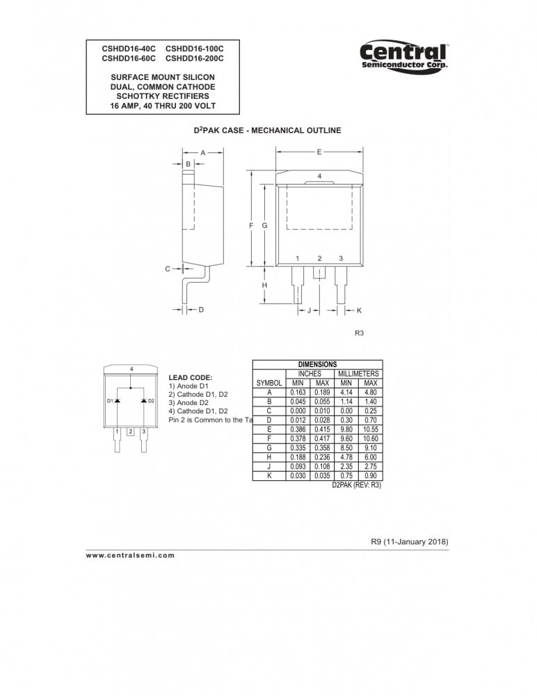 CSHDD16-100C datasheet page 2