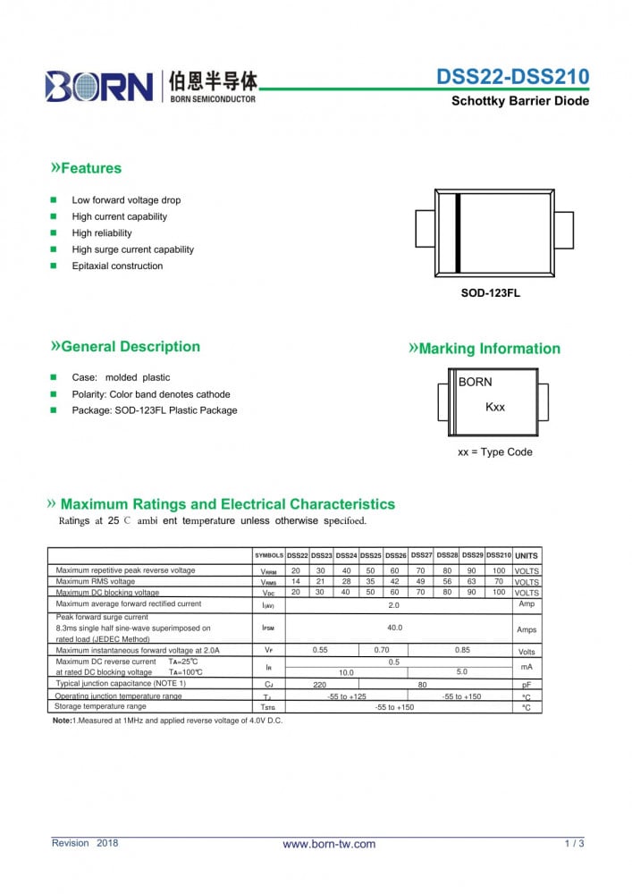 BORN DSS210 datasheet page 1
