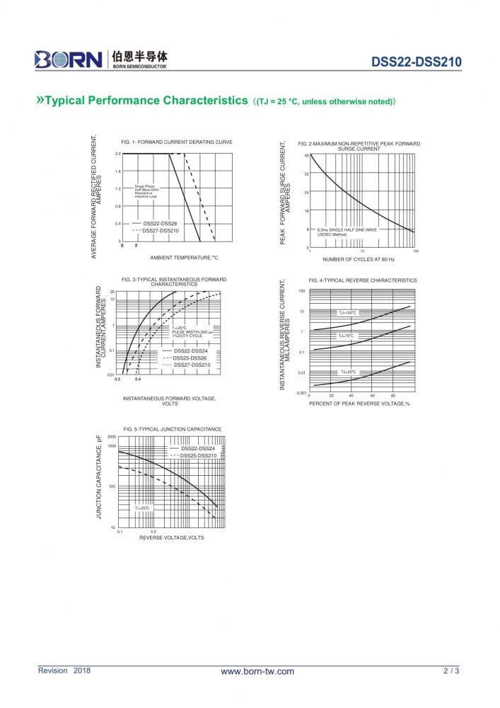 BORN DSS210 datasheet page 2