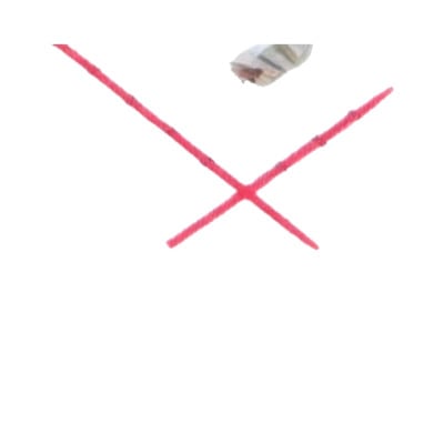 TLC Electronic F06F2 Fuse