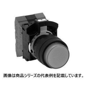IDEC HW1L-M2P10Q4S for sale