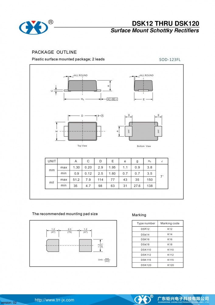 DSK115 datasheet page 3