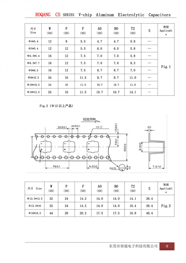 ROQANG CS2A330M-CRF10 technical document page 9