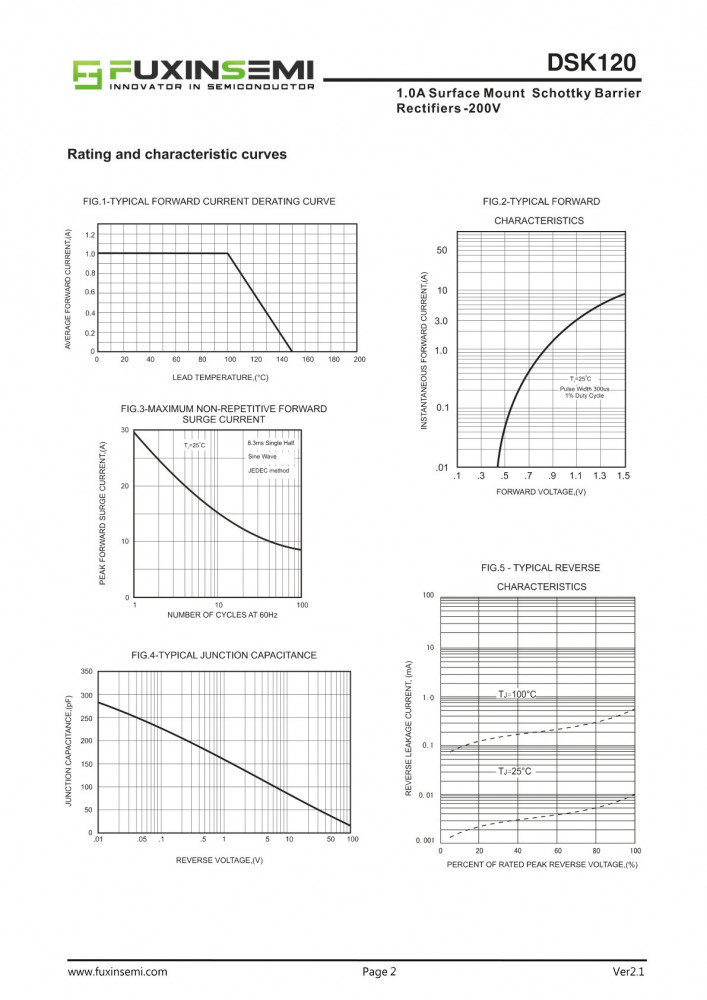DSK120 datasheet page 2