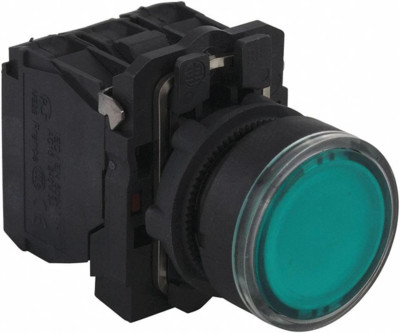 Schneider XB5AW33G5 Pushbutton Switch for sale