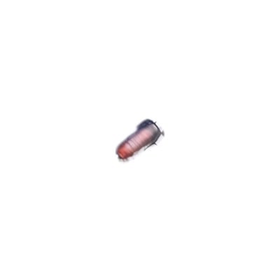 LGE BZX85B30 Single Zener Diode