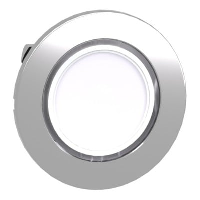 Schneider XB5FW31B5 Pushbutton Switch