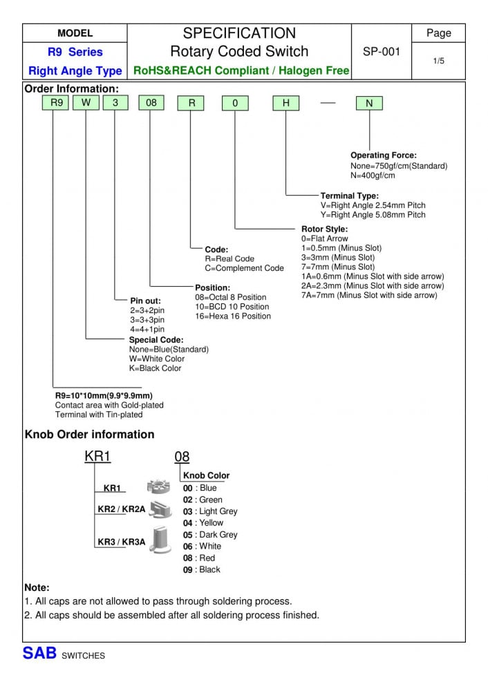 BIWIN R9 series datasheet page 1