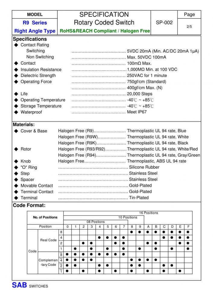 BIWIN R9 series datasheet page 2