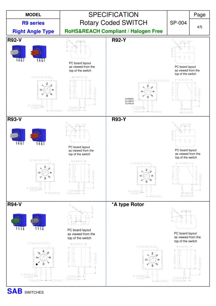 BIWIN R9 series datasheet page 4
