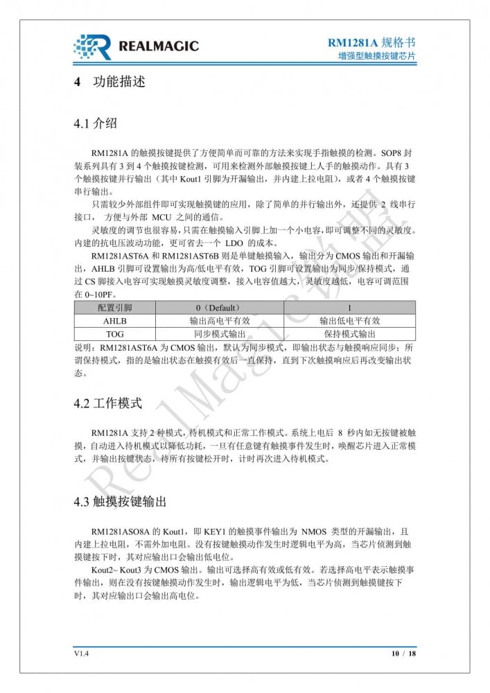 RM1281A datasheet page 10