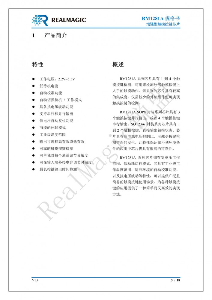 RM1281A datasheet page 3