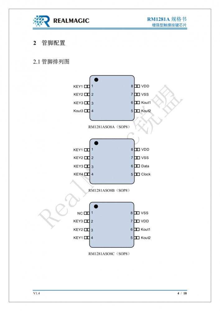 RM1281A datasheet page 4