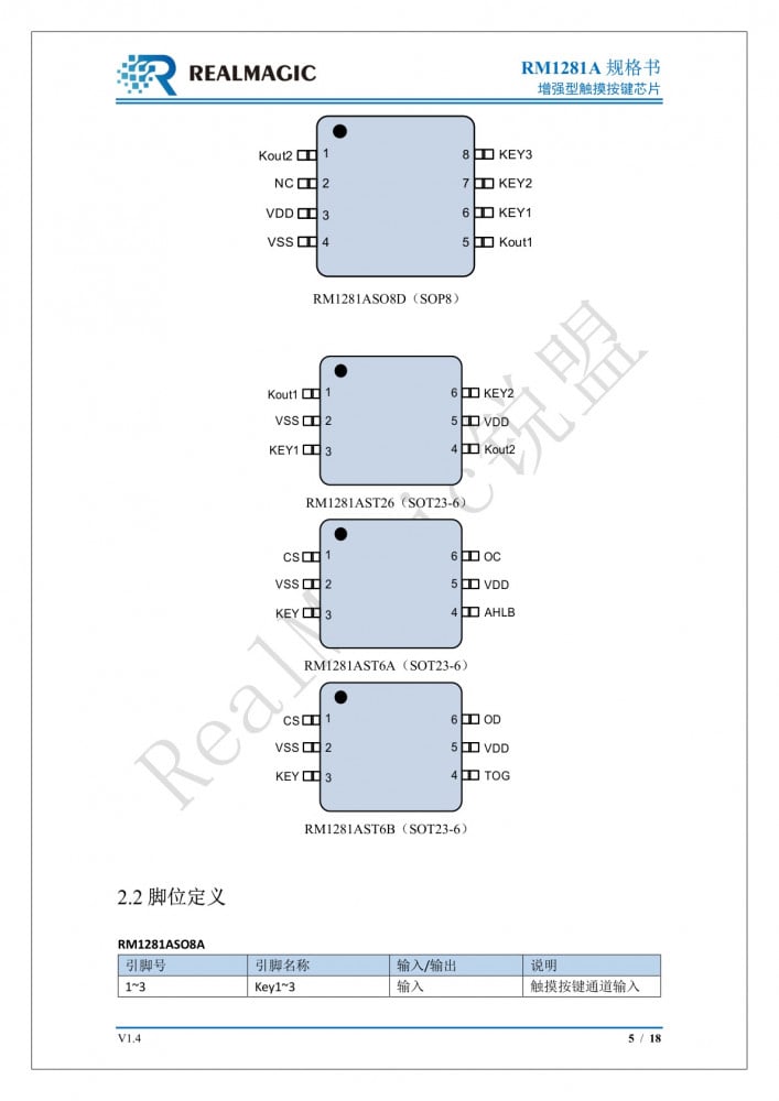 RM1281A datasheet page 5
