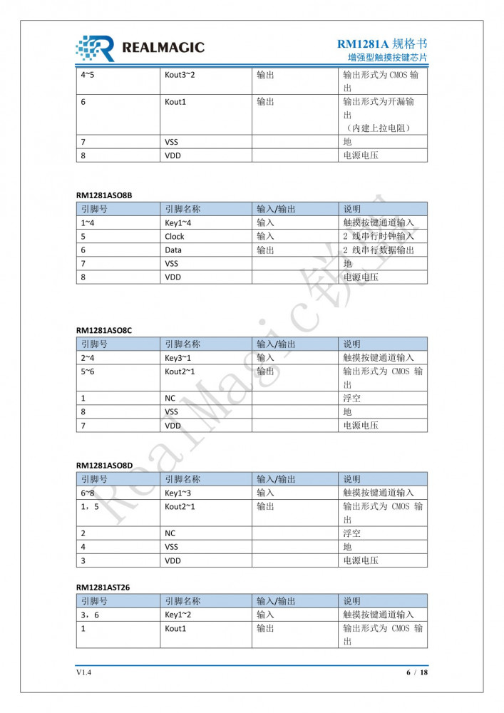RM1281A datasheet page 6