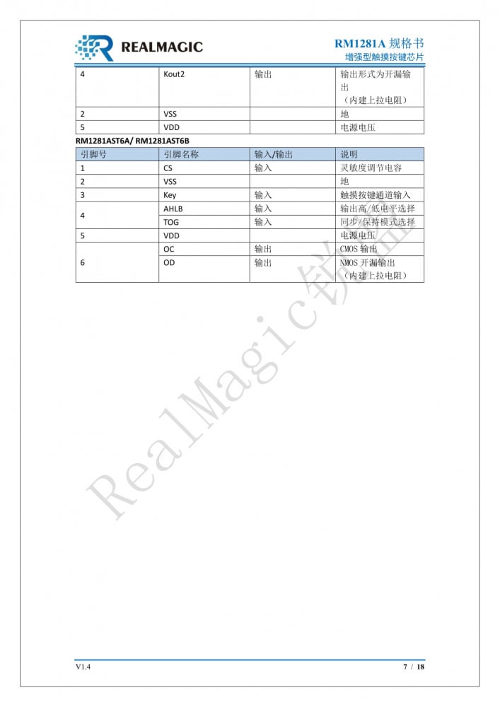 RM1281A datasheet page 7