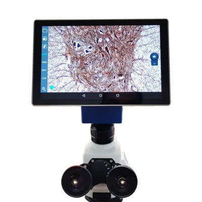 VE-SCOPEPAD 300 for sale