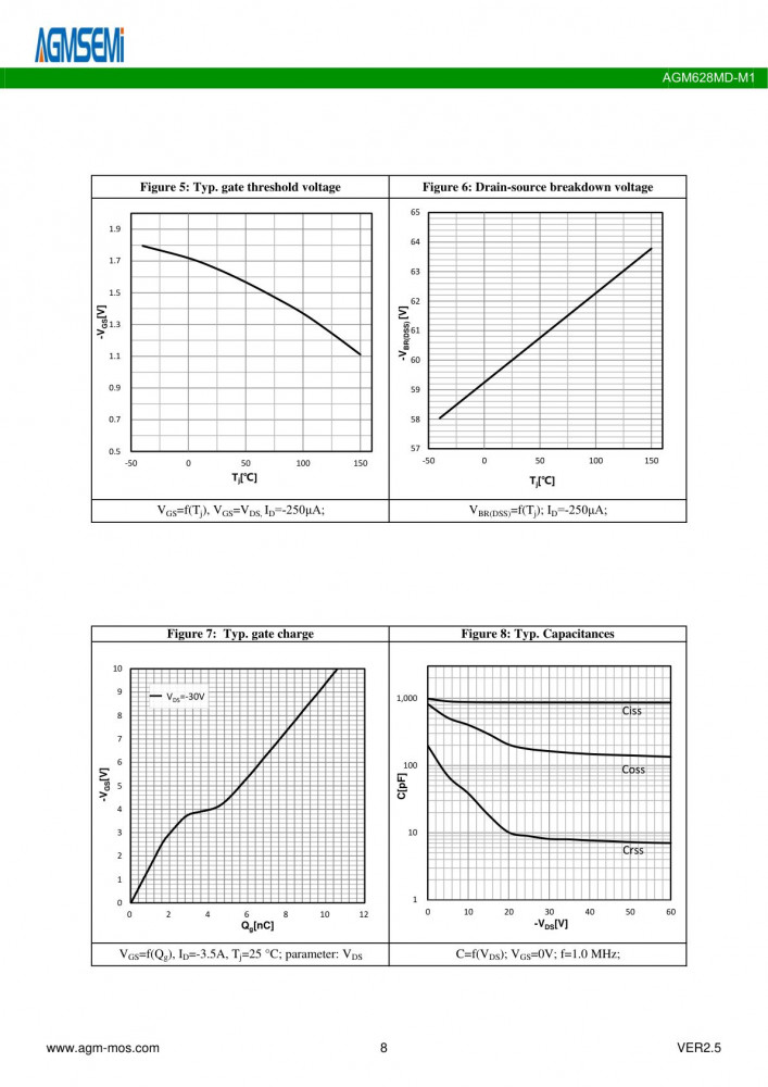 AGM628MD-M1 datasheet page 8