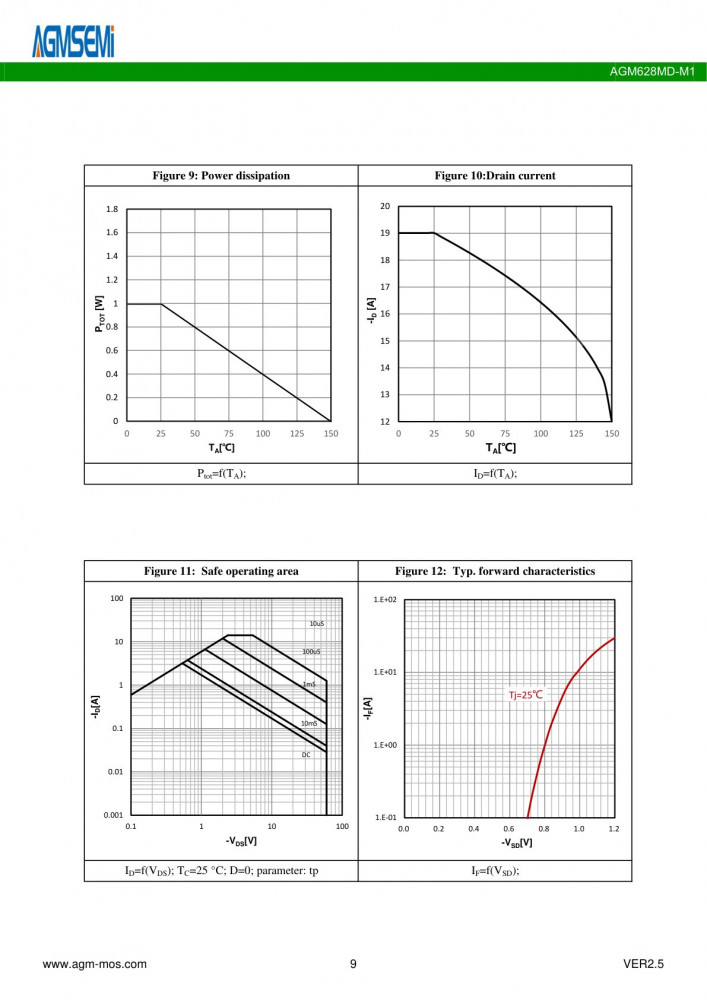 AGM628MD-M1 datasheet page 9