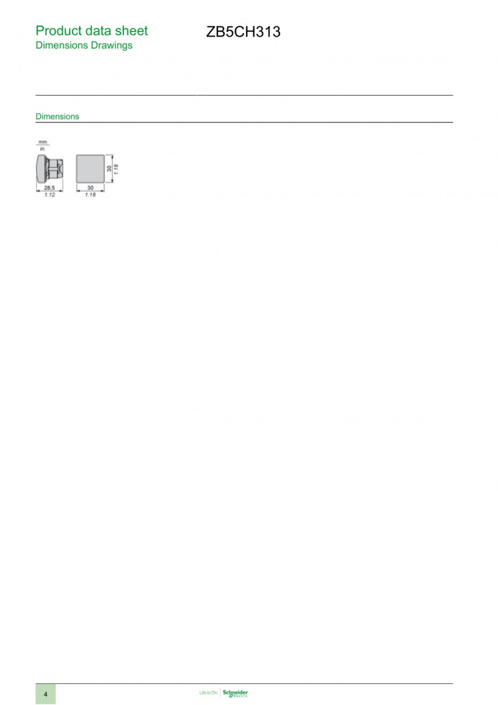 ZB5CH313 technical document page 4