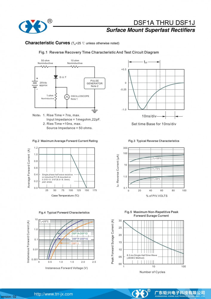 DSF1G E1G datasheet page 2
