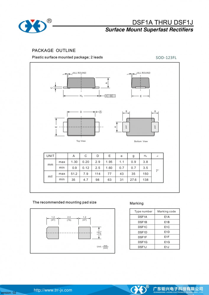 DSF1G E1G datasheet page 3