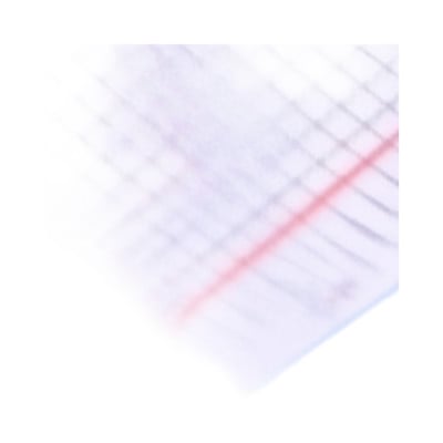 CHANGLONG CL2512FN3R9B Surface Mount Chip Resistor