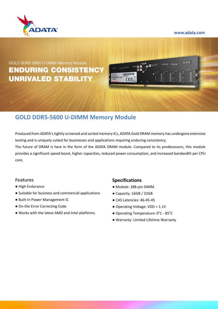 ADATA GOLD DDR5-5600 U-DIMM product document, page 1