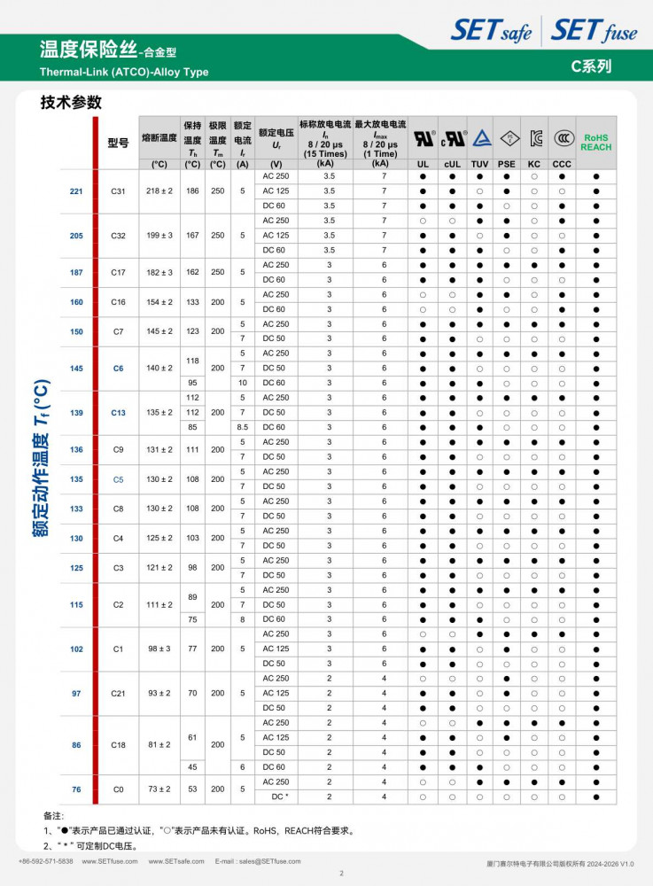 C21 datasheet page 2