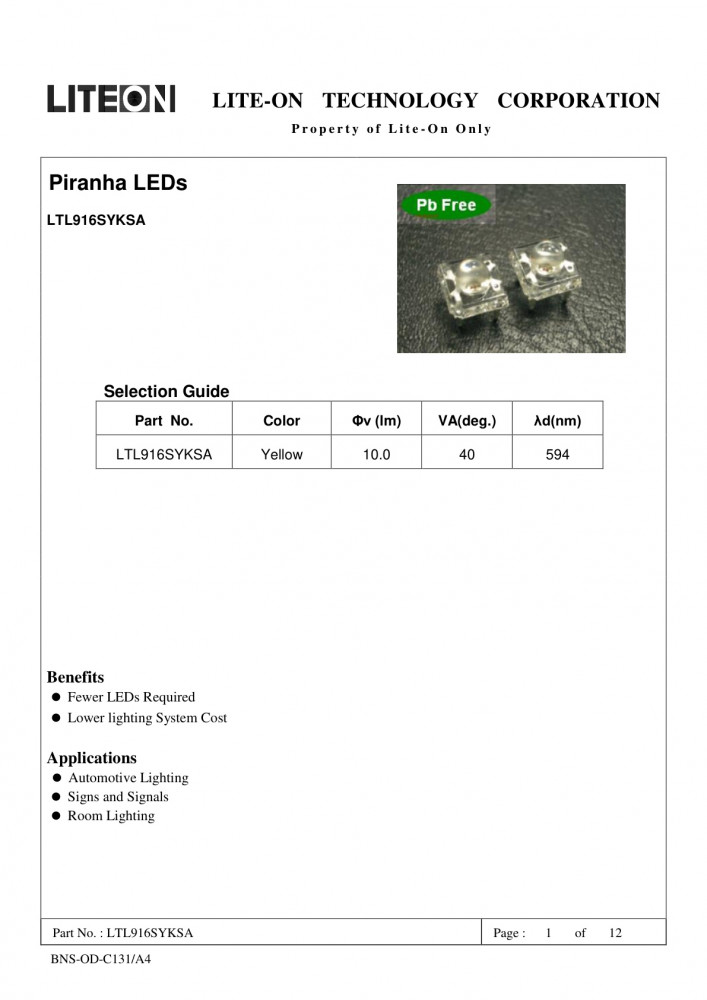 LTL916SYKSA datasheet page 2