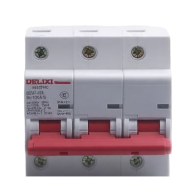 Delixi Electric DZ47V1252D80 Miniature Circuit Breaker