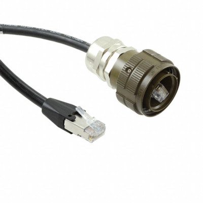 CINCH C-RJFTV5E1706PG10 Modular Ethernet Cable (RJ45/RJ11)