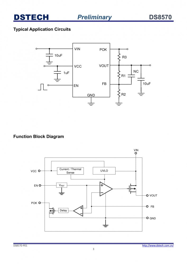 DS8570 datasheet page 3