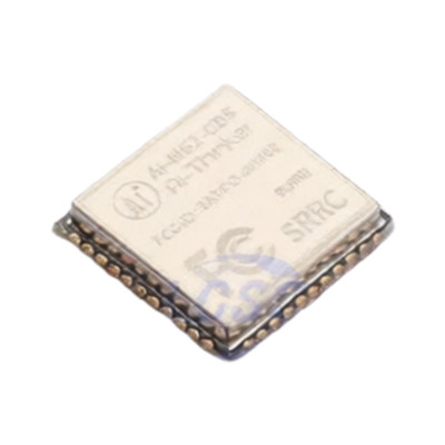 Ai-Thinker Ai-M62-CBS(BLIFN4) for sale