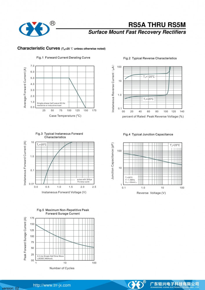 JUXING RS5M datasheet page 2