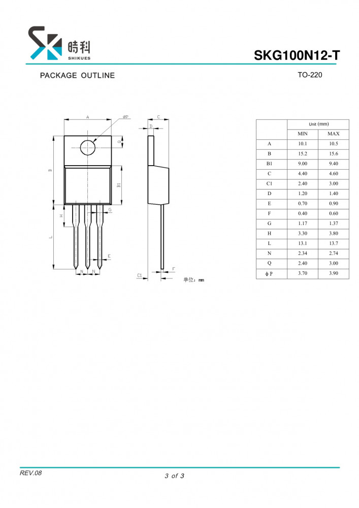SKG100N12T datasheet page 3