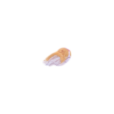TLC Electronic TRC010 PTC Resettable Fuse for sale