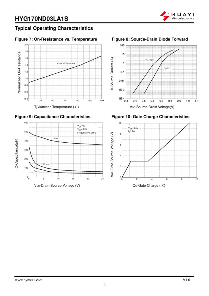 HYG170ND03LA1S datasheet page 5