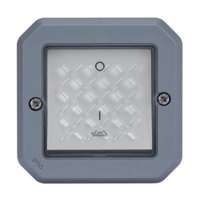 Plexo - Double-pole switch 16AX indicator - Grey LED control - IP55 IK08 matt thermoplastic - 250V AC 16A terminals for sale