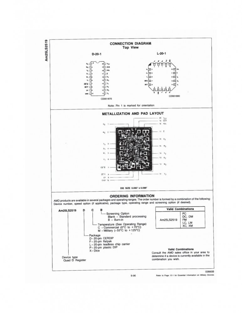 AM25LS2519 datasheet page 3