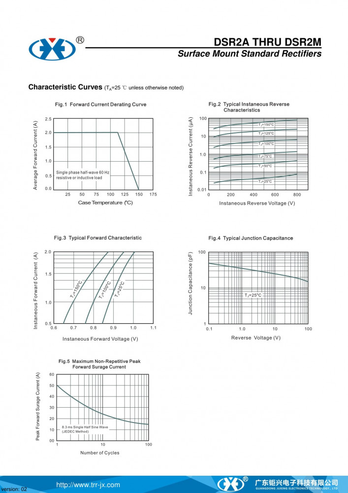 DSR2M datasheet page 2