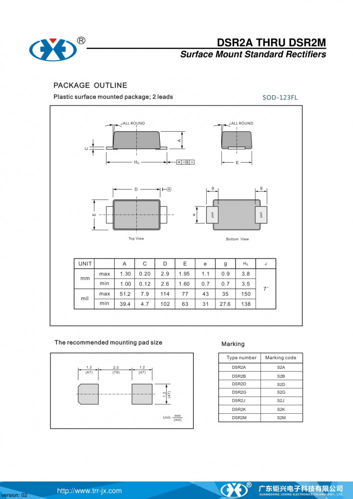 DSR2M datasheet page 3