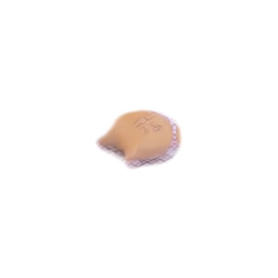 Brightking BK60-065 PTC Resettable Fuse